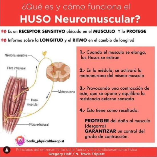 CALAMBRES MUSCULARES: ¿POR QUÉ OCURREN? - Trainologym