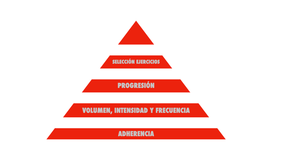 APRENDE A PROGRAMAR TU ENTRENAMIENTO - Trainologym APRENDE A PROGRAMAR TU ENTRENAMIENTO - Trainologym