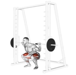 LAS MEJORES VARIANTES DE SENTADILLA - Trainologym