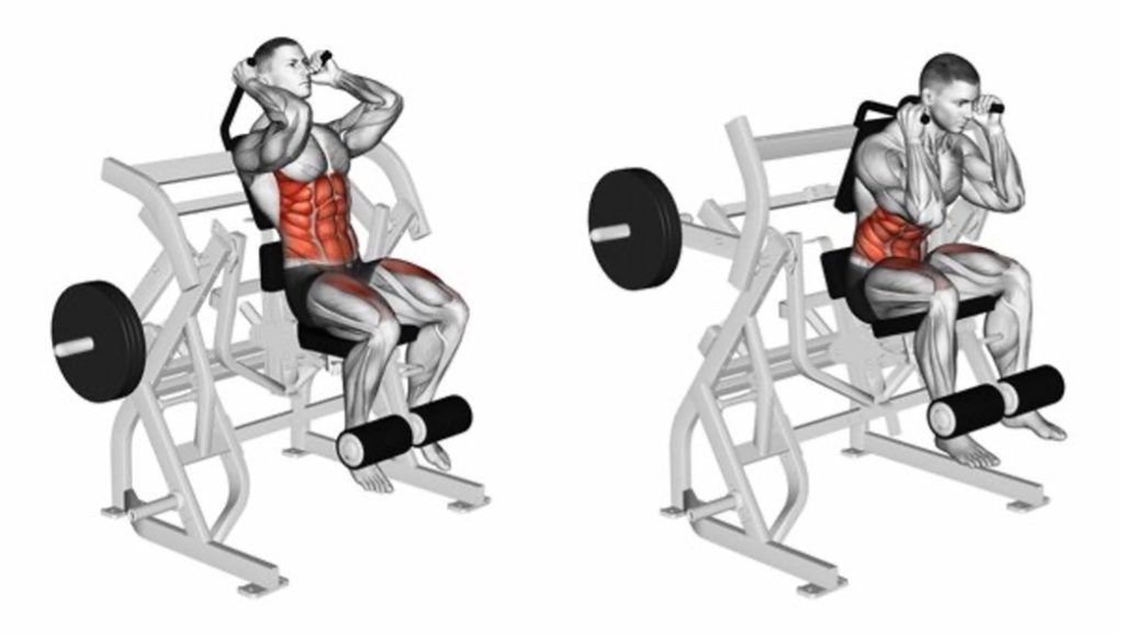 DESARROLLA TUS ABDOMINALES ASÍ - Trainologym