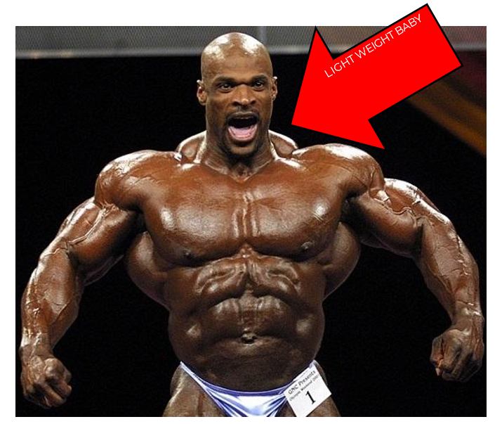 TRAPECIOS GRANDES COMO PERCHAS - Trainologym