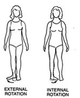MOVILIDAD DE CADERA: TIPS PARA MEJORARLA - Trainologym